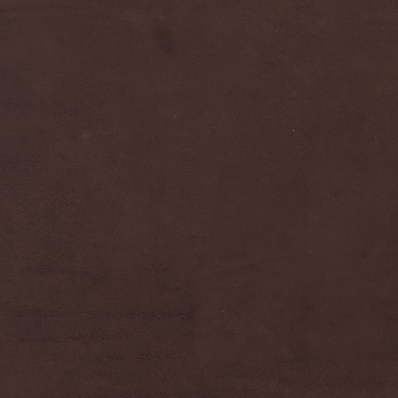 Embrace Leather (Sense)